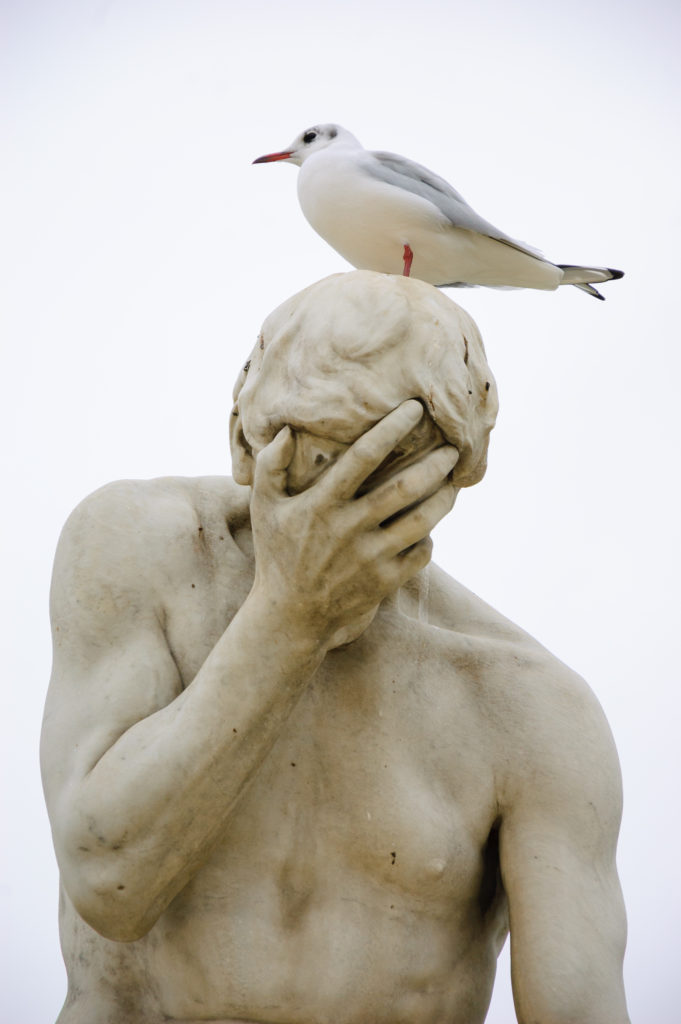 Leiderschap: elimineer de meeuw in de manager - IFBD